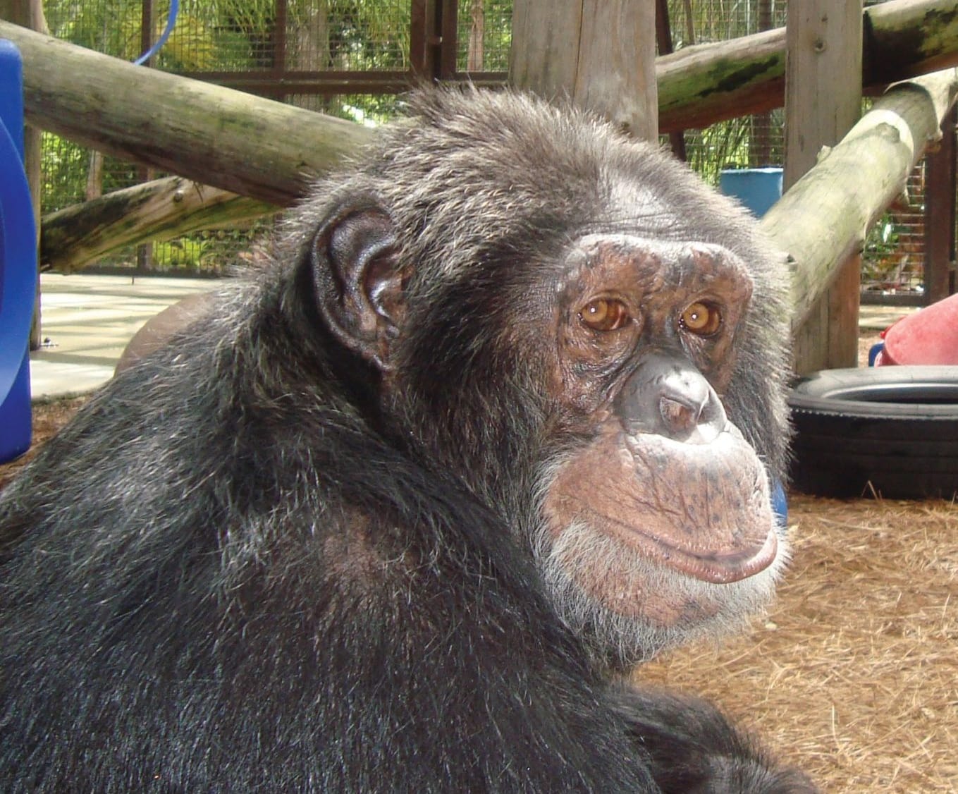 Tarina siitä, miten Bon Jovi järjesti kerran uskaliaan kepposen Michael ...